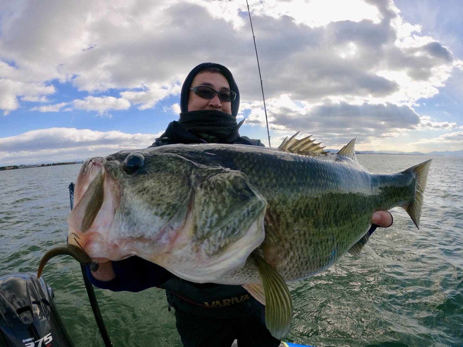 HUスティック(プロト)で連日の50up | BRUSH（ブラッシュ） 琵琶湖 バスフィッシング情報、釣果 動画 ムービー満載