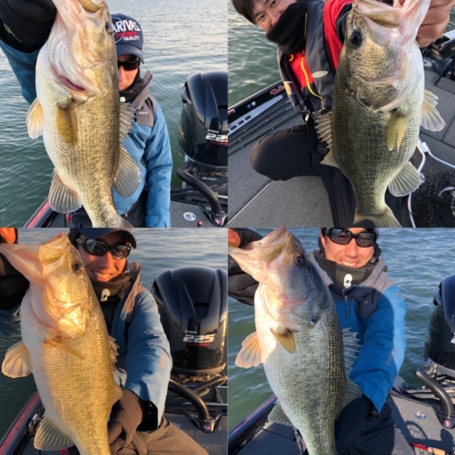 巻きで50up等複数 | BRUSH（ブラッシュ） 琵琶湖 バスフィッシング情報、釣果 動画 ムービー満載