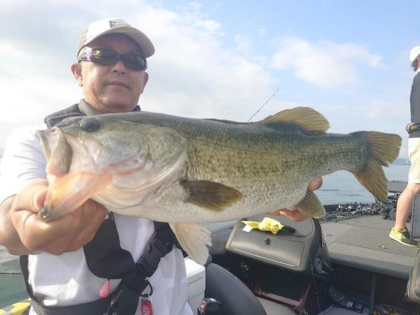 50up×2など | BRUSH（ブラッシュ） 琵琶湖 バスフィッシング情報、釣果 動画 ムービー満載