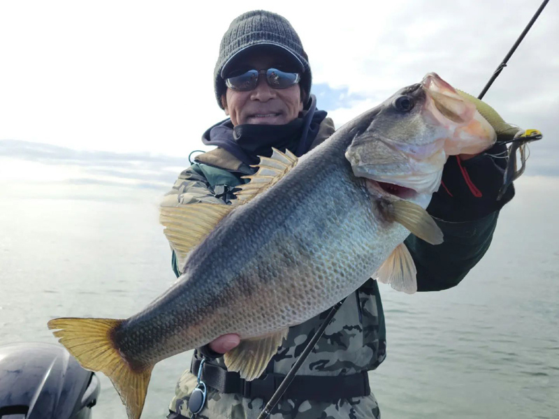 スイムジグで50up×2 | BRUSH（ブラッシュ） 琵琶湖 バスフィッシング情報、釣果 動画 ムービー満載