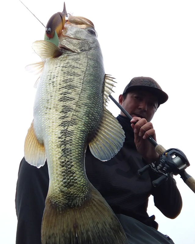 ふく魚で50up | BRUSH（ブラッシュ） 琵琶湖 バスフィッシング情報、釣果 動画 ムービー満載