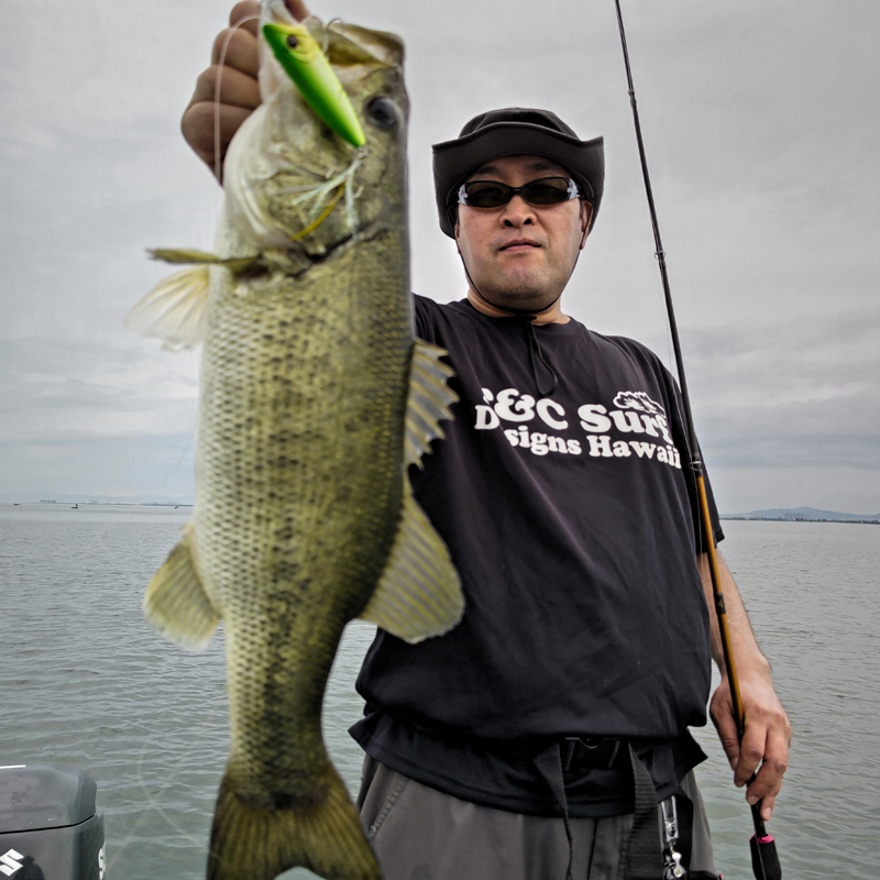 トップ～サブサーフェースで58cm、50up×2、45クラス×3 | BRUSH（ブラッシュ） 琵琶湖 バスフィッシング情報、釣果 動画 ムービー満載