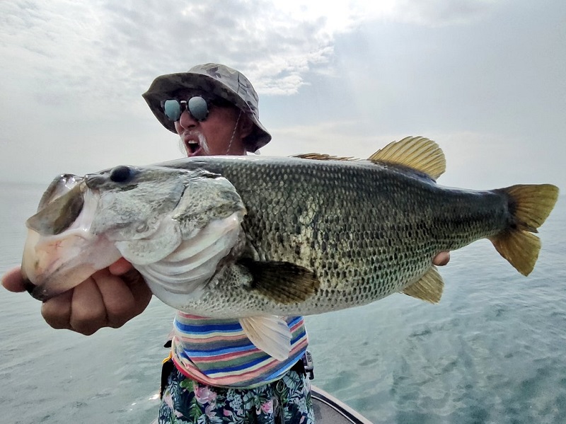 55cm/3kgUpを含む50up×3！ | BRUSH（ブラッシュ） 琵琶湖 バスフィッシング情報、釣果 動画 ムービー満載