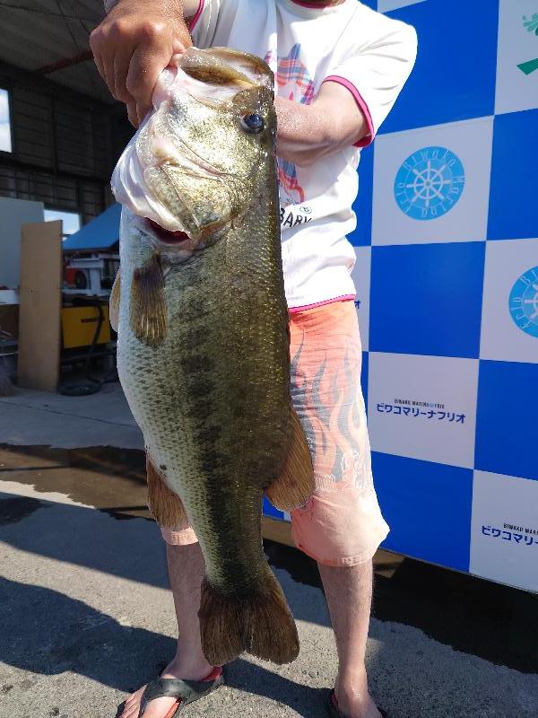 クランクで63.5cm、50up×2 | BRUSH（ブラッシュ） 琵琶湖 バスフィッシング情報、釣果 動画 ムービー満載