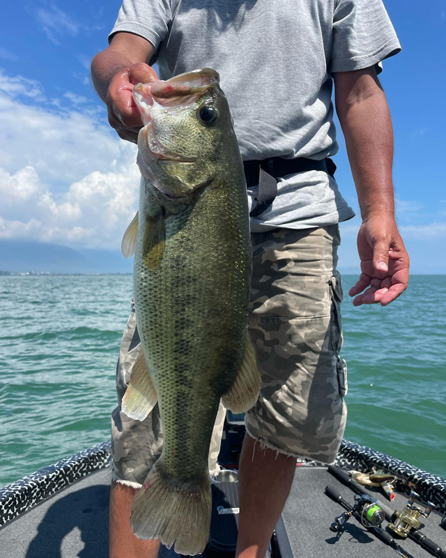 ダウンショットで50up | BRUSH（ブラッシュ） 琵琶湖 バスフィッシング情報、釣果 動画 ムービー満載