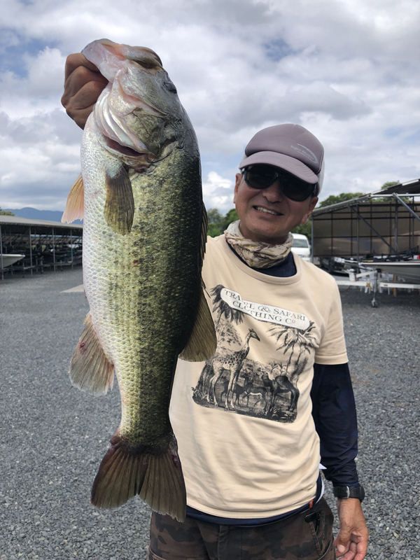 連日の50up | BRUSH（ブラッシュ） 琵琶湖 バスフィッシング情報、釣果 動画 ムービー満載