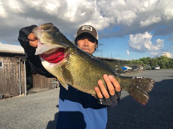 トップで50Up | BRUSH（ブラッシュ） 琵琶湖 バスフィッシング情報、釣果 動画 ムービー満載