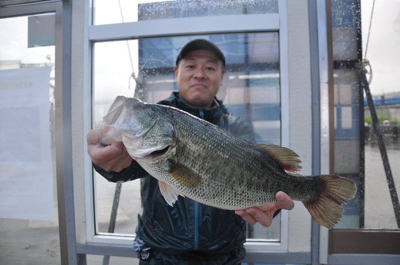 今年初琵琶湖で初50UP! | BRUSH（ブラッシュ） 琵琶湖 バスフィッシング情報、釣果 動画 ムービー満載